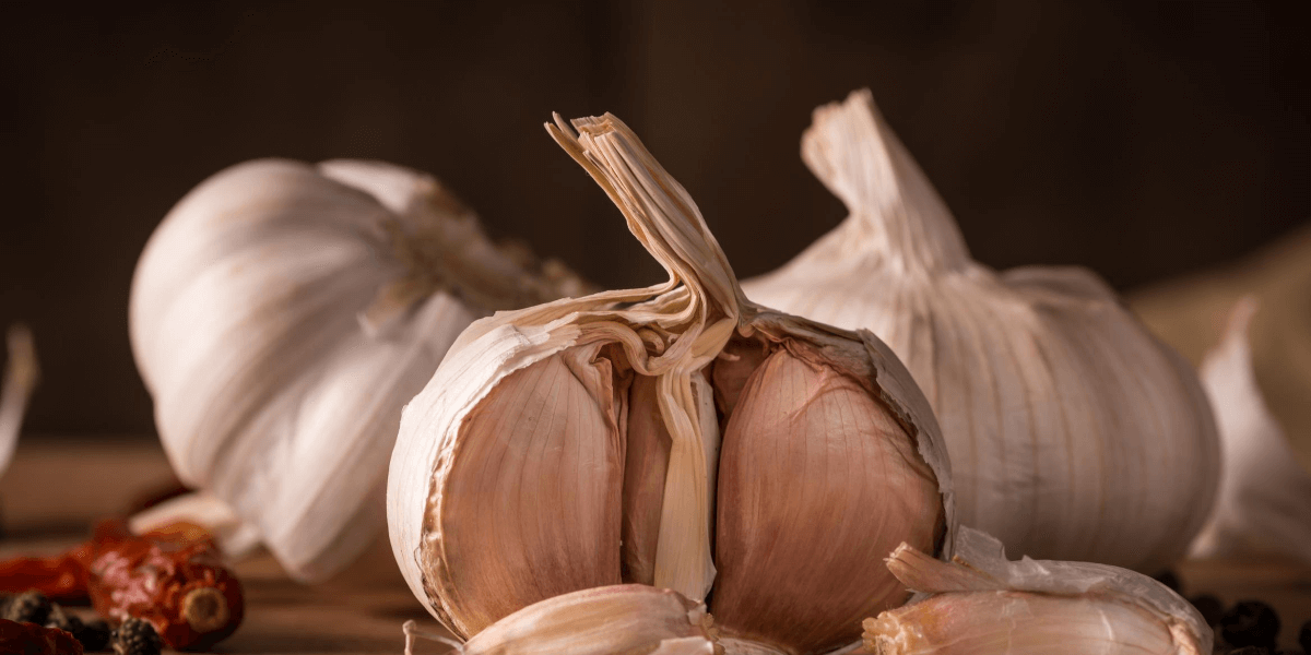 HOW IS GARLIC BENEFICIAL TO HEALTH?